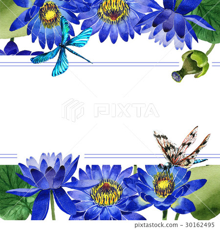 Wildflower blue lotus flower frame in a watercolor - Stock Illustration ...
