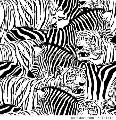 Tiger and zebra seamless pattern. - Stock Illustration [30181418] - PIXTA