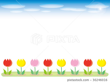 Tulip frame · blue sky background - Stock Illustration [30246016] - PIXTA