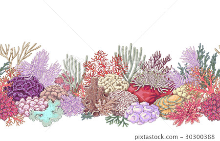 Coral Reef Line Horizontal Pattern - Stock Illustration [30300388] - PIXTA