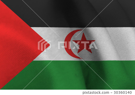 Western sahara flag 3D illustration symbol - Stock Illustration ...