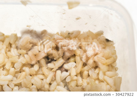 Old bad spoiled rice,Close up - Stock Photo [30427922] - PIXTA