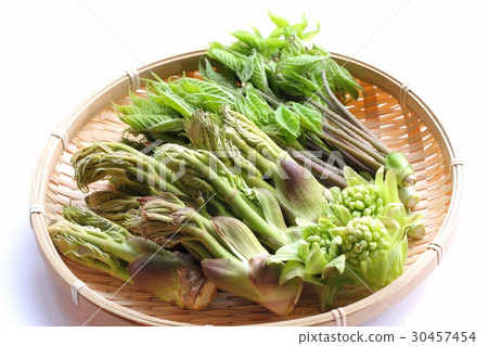 Platter of wild vegetables (bud of cod,... - Stock Photo [30457454] - PIXTA
