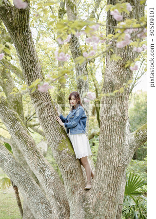 A woman climbing a tree - Stock Photo [30509101] - PIXTA