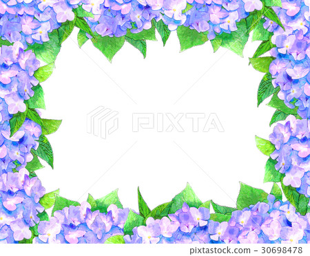 Hydrangea frame - Stock Illustration [30698478] - PIXTA