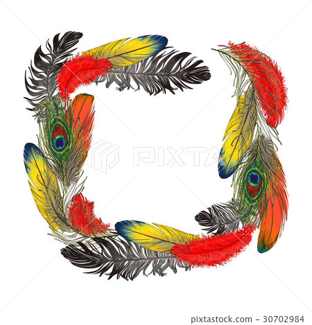 Square frame formed by bird feathers with space - Stock Illustration ...