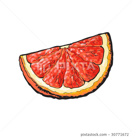 Quarter, segment, piece of ripe pink grapefruit - Stock Illustration ...