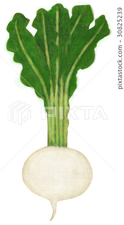 手繪幼崽-插圖素材 [30825239] - PIXTA圖庫