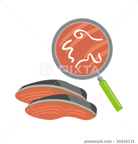 Anisakis - Stock Illustration [30838135] - PIXTA