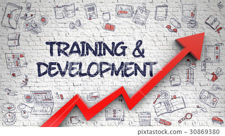 Training And Development Drawn on White Brickwall - Stock Illustration ...