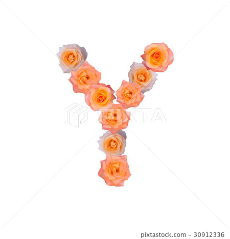 The letter Y, in the Alphabet bloom roses - Stock Illustration ...