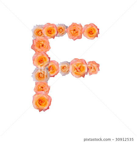 The letter F, in the Alphabet bloom roses - Stock Illustration ...