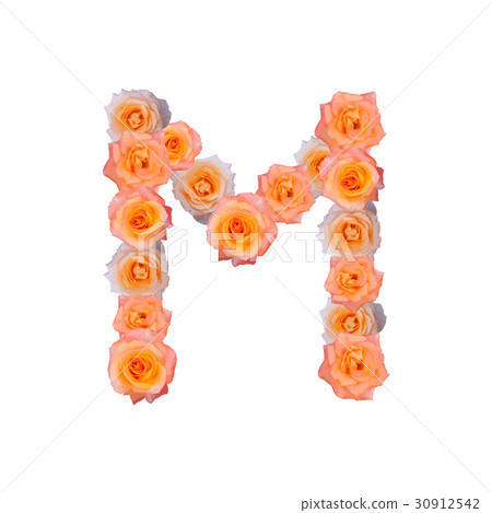 The letter M, in the Alphabet bloom roses - Stock Illustration ...