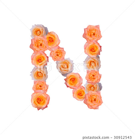 The letter N, in the Alphabet bloom roses - Stock Illustration ...