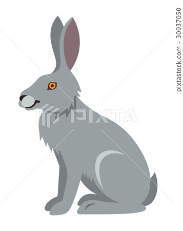 Cute smiling wild hare cartoon illustration - Stock Illustration ...