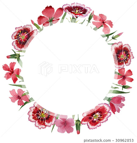 Wildflower carnation flower frame in a watercolor - Stock Illustration ...