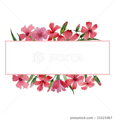 Wildflower carnation flower frame in a watercolor - Stock Illustration ...
