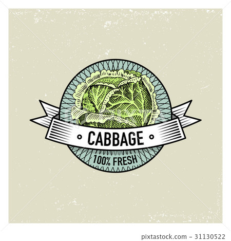 Cabbage Vintage set of labels, emblems or logo for - Stock Illustration ...