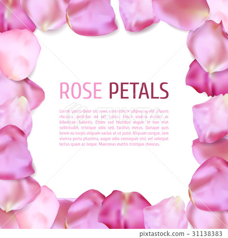 Rose petals frame - Stock Illustration [31138383] - PIXTA