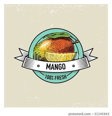 Mango Vintage, hand drawn fresh fruits background - Stock Illustration ...