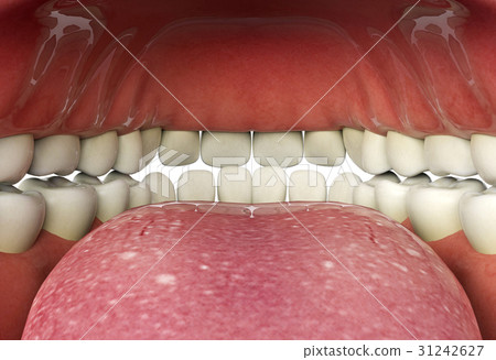 Close up of human mouth inner, oral health concept-插圖素材 [31242627 ...