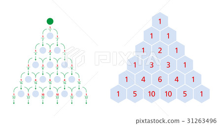 Galton board normal distribution, Pascals triangle - Stock Illustration ...