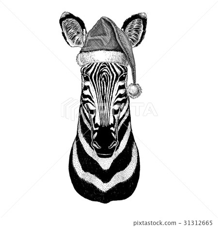 Zebra Horse wearing christmas hat New year eve - Stock Illustration ...