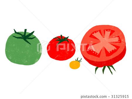 Tomato - Stock Illustration [31325915] - PIXTA