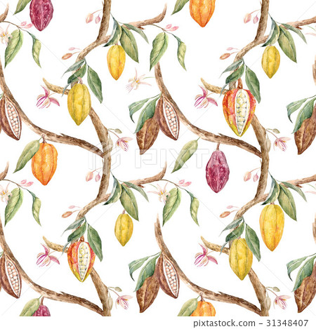 Watercolor cacao pattern - Stock Illustration [31348407] - PIXTA