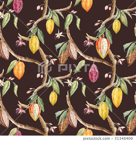 Watercolor cacao pattern - Stock Illustration [31348409] - PIXTA