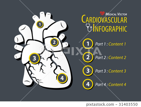 Cardiovascular Infographic . Flat design . - Stock Illustration ...