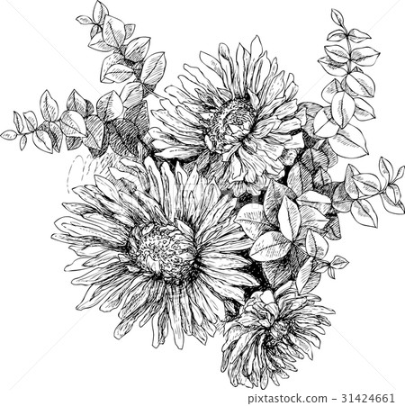 Vintage botanical illustration blossom garden - Stock Illustration ...