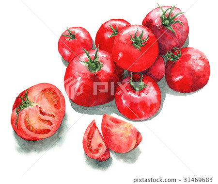 Analog watercolor ripe tomato pile and cut... - Stock Illustration ...