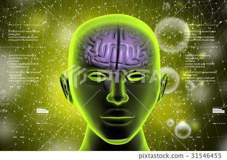 representation of human brain - Stock Illustration [31546455] - PIXTA