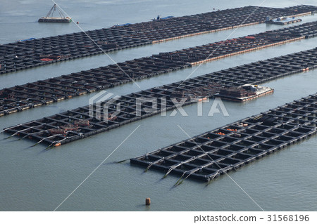 Abalone farm, Aegeum Island, Daedong Sea... - Stock Photo [31568196 ...