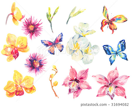 Watercolor set of floral tropical orchid elements - Stock Illustration ...