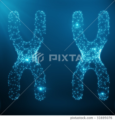XX-Chromosome Concept for Human Biology Medical - Stock Illustration ...