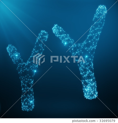 YY-Chromosome Concept for Human Biology Medical - Stock Illustration ...
