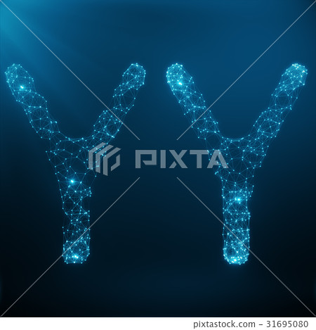 YY-Chromosome Concept for Human Biology Medical - Stock Illustration ...