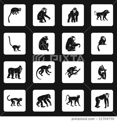 Monkey types icons set squares vector - Stock Illustration [31704750 ...