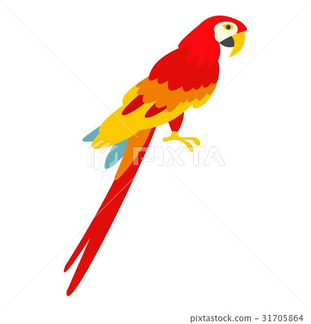 Scarlet macaws icon isolated-插圖素材 [31705864] - PIXTA圖庫