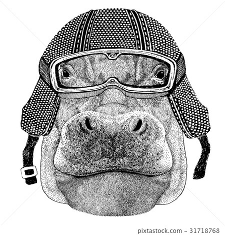Hippo, Hippopotamus, behemoth, river-horse wearing - Stock Illustration ...
