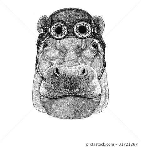 Hippo, Hippopotamus, behemoth, river-horse wearing - Stock Illustration ...