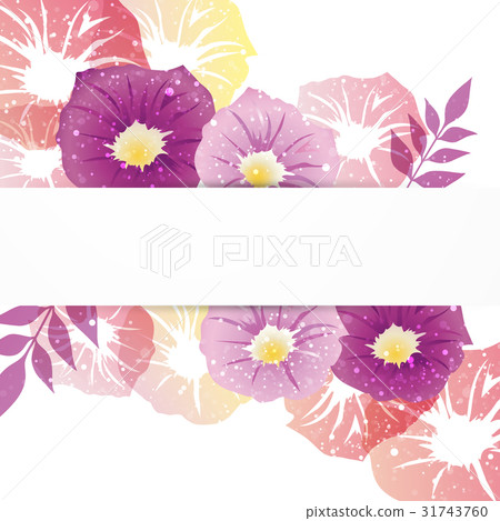 Asagao illustration background - Stock Illustration [31743760] - PIXTA