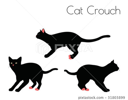 cat silhouette in Crouch Pose - Stock Illustration [31803899] - PIXTA