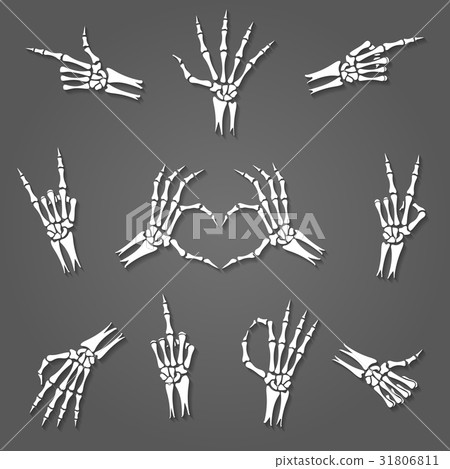 Skeleton hand signs - Stock Illustration [31806811] - PIXTA