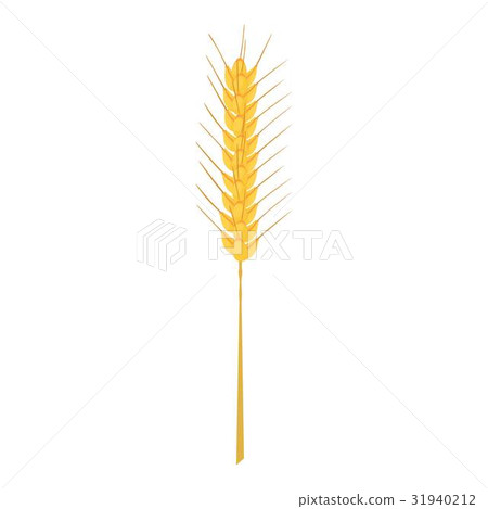 Barley stalk icon, cartoon style - Stock Illustration [31940212] - PIXTA