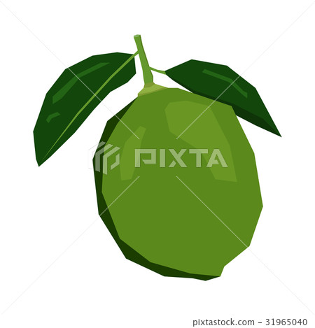 Isolated geometric lime - Stock Illustration [31965040] - PIXTA
