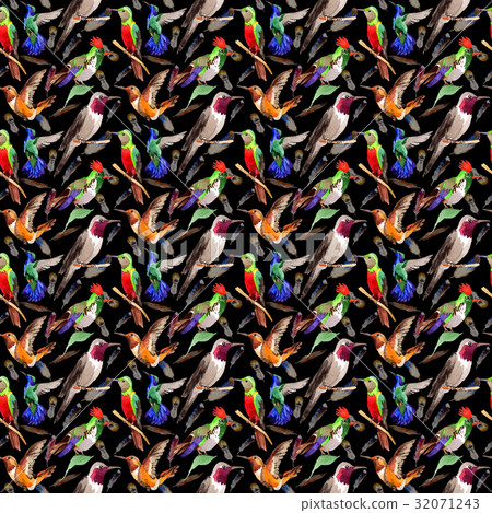 Sky bird colibri pattern in a wildlife by - Stock Illustration ...