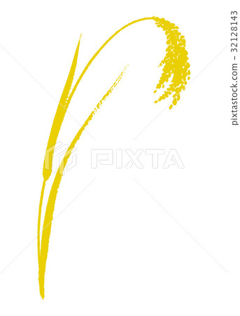 Rice watercolor painting ink painting - Stock Illustration [32128143 ...